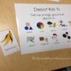 Earth Day Describe and Sort Language Packet - Speech Room News