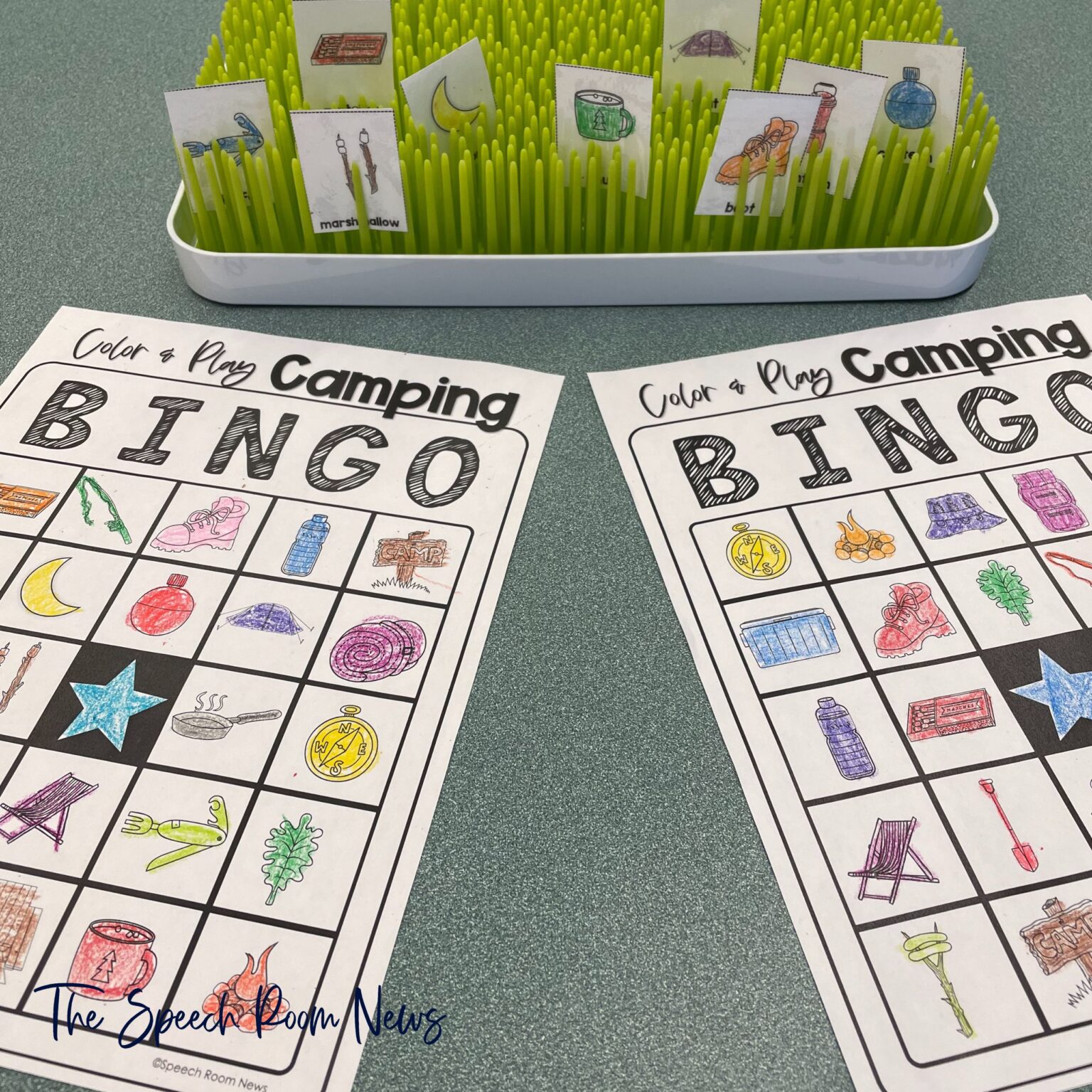 5 Fun Summer ESY Themes for Speech Therapy - Speech Room News